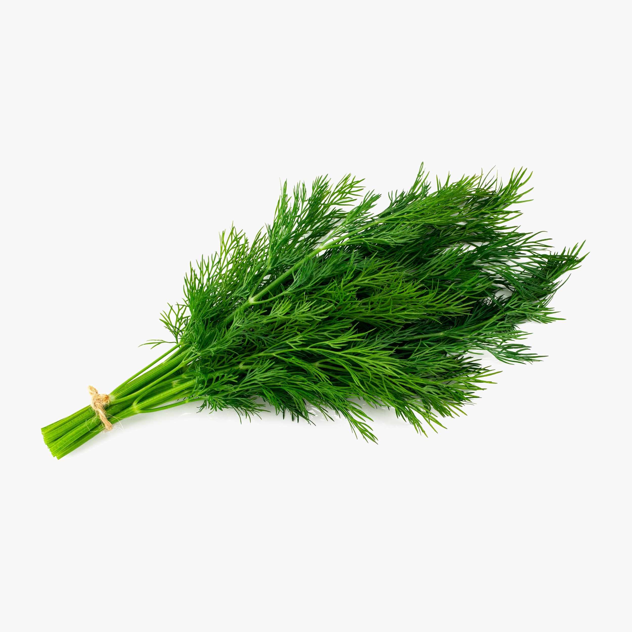 MARAR 1 LEGATURA – Supermarket ANCA