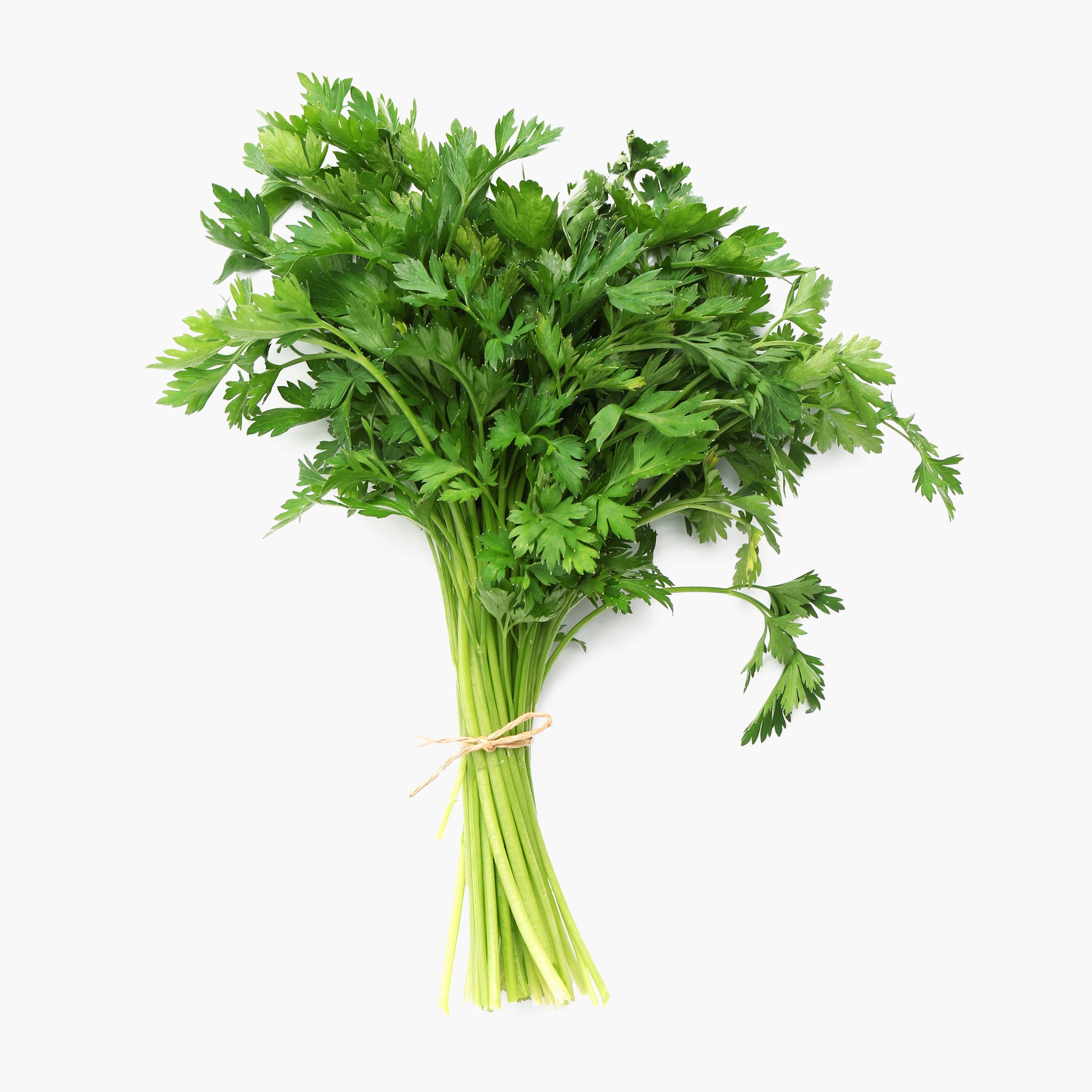 PATRUNJEL 1 LEGATURA – Supermarket ANCA